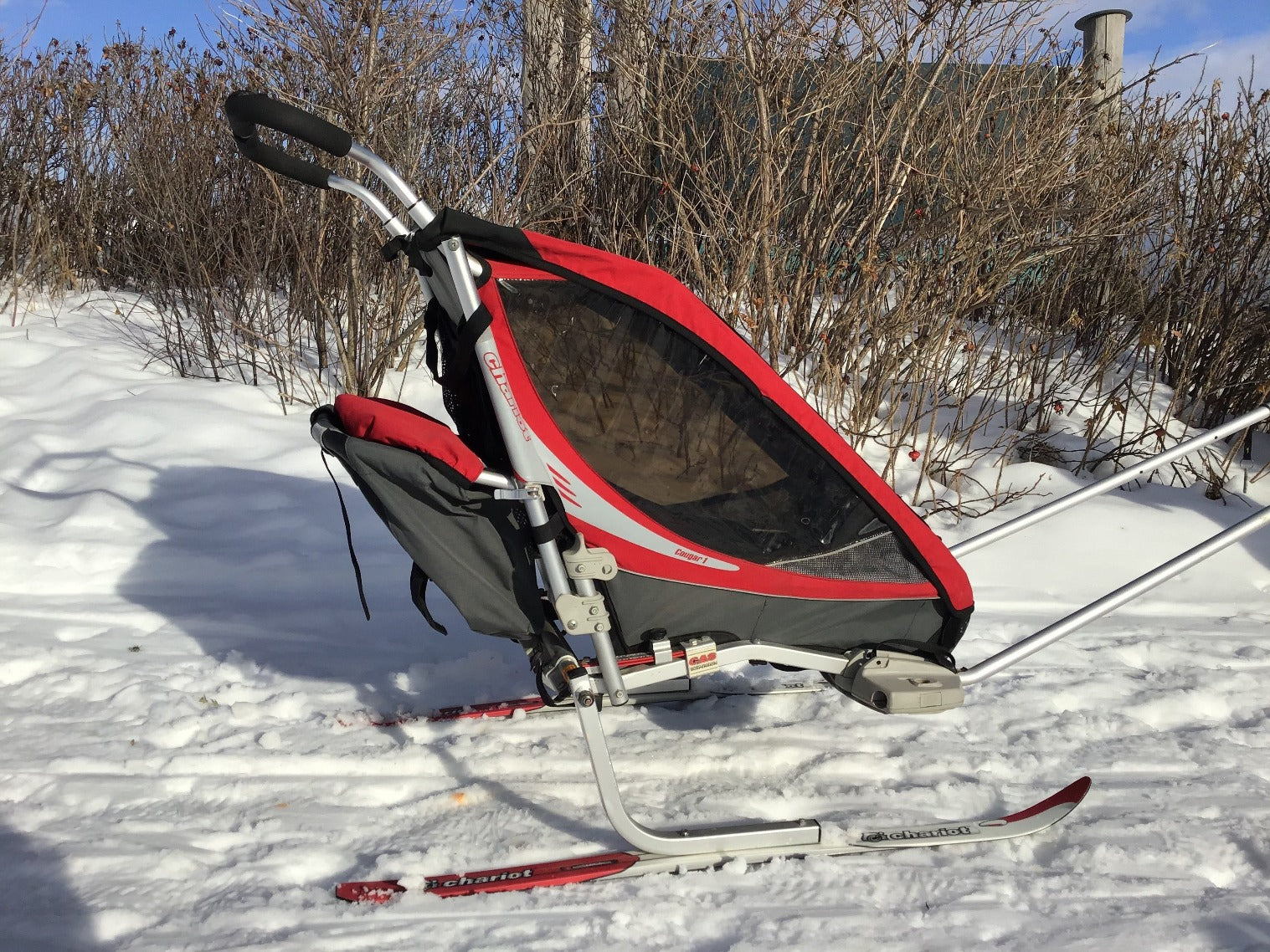 Thule CX1 Ski Cart Rental - For Baby and Child – Relais Plein Air
